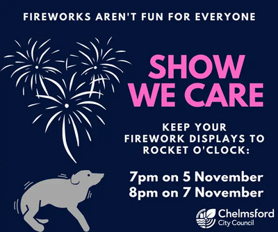 Call for Chelmsford households to limit fireworks to ‘Rocket O’Clock ...